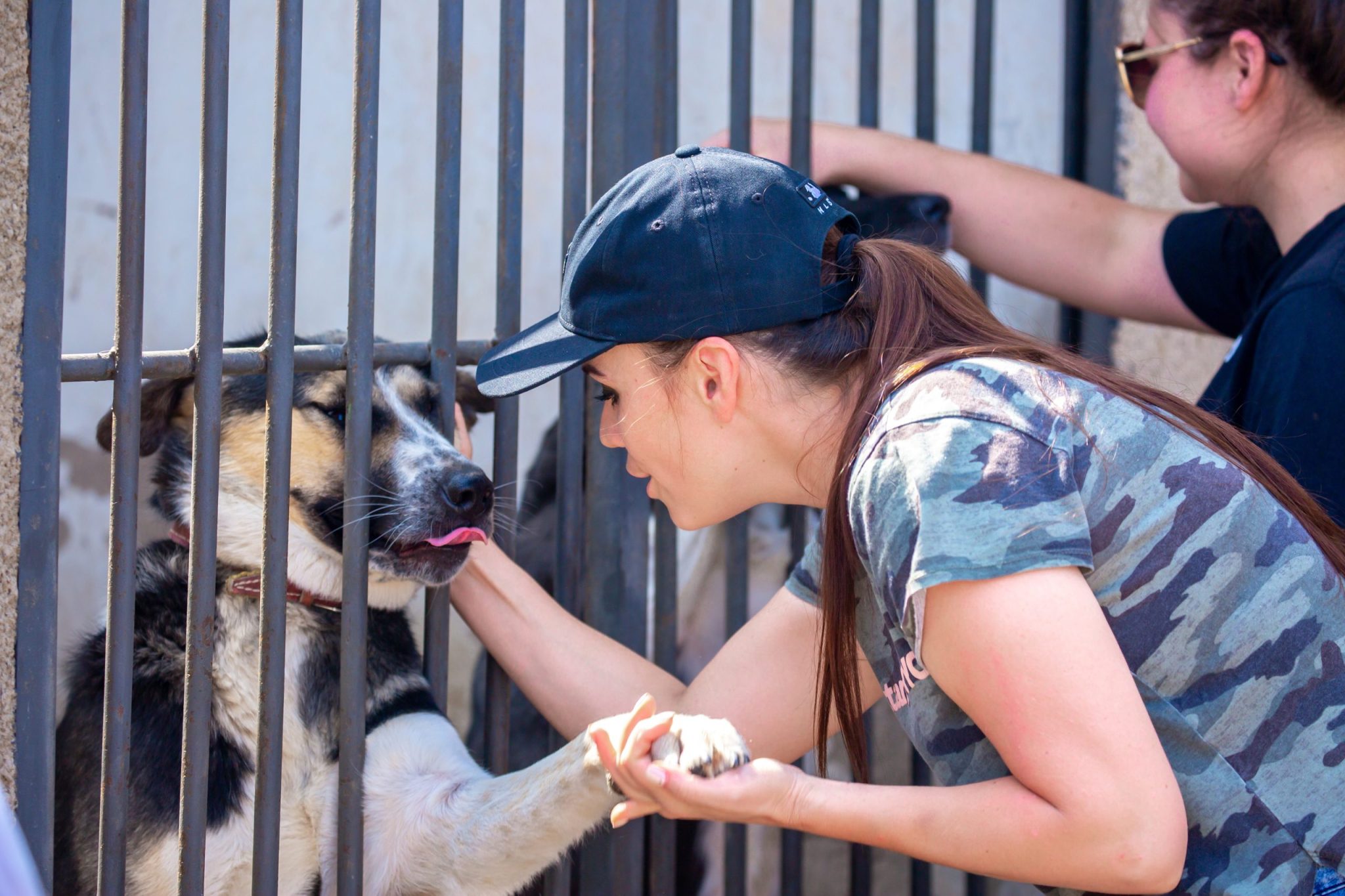 Welfare Check Australia – Where Safety Becomes Our Commitment.